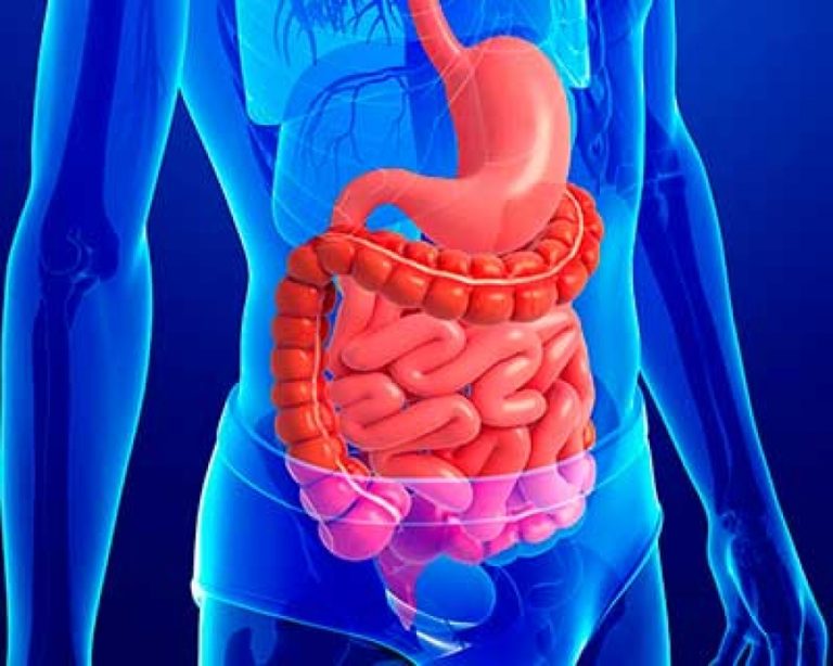 ESOFAGOGASTRODUODENOSCOPIA – Gastrodiagnosticos IPS